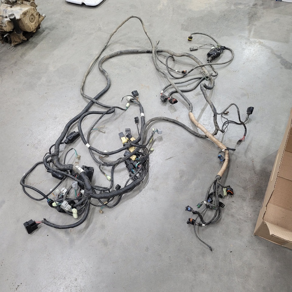 main wire harness after vin. #lcelvyz18f6001671 | MIC Parts